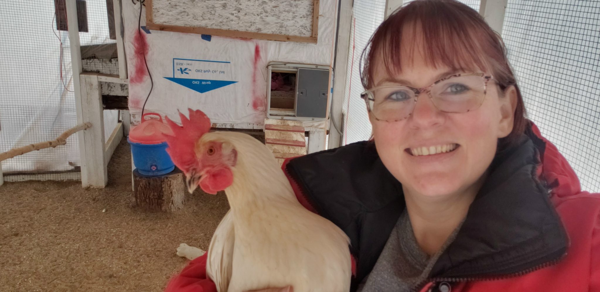 I am back!!!!! – Shari's Low Carb Kitchen